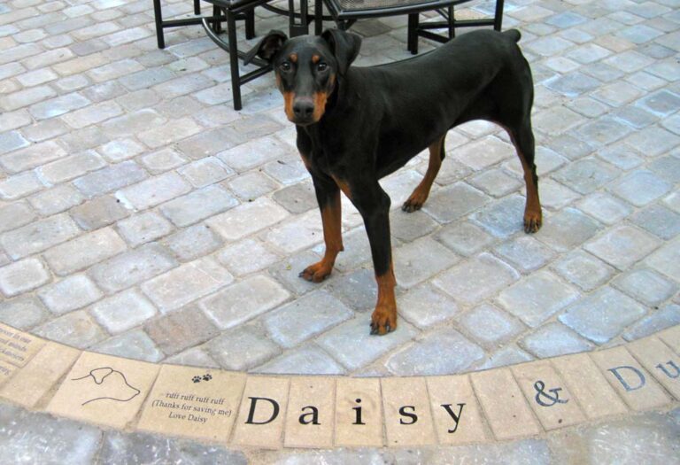 Engraved Bricks from Engravedbricks.com - Laser Impressions